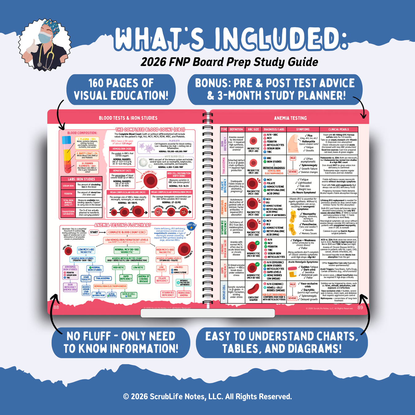 The 2026 Family Nurse Practitioner Board Prep Study Guide – ScrubLifeNotes®